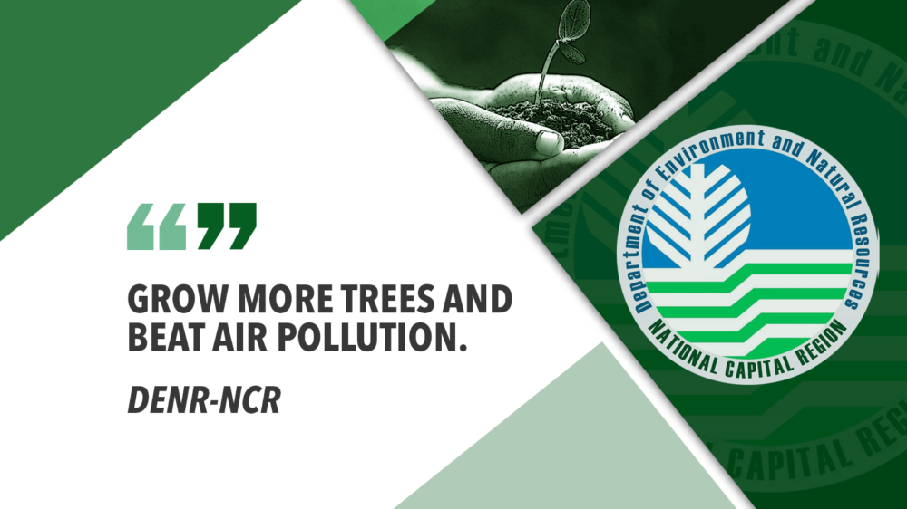 DENR, NCR PUBLIC SCHOOLS EYE GREEN ALLIANCE – DENR OFFICIAL — IKOT.PH