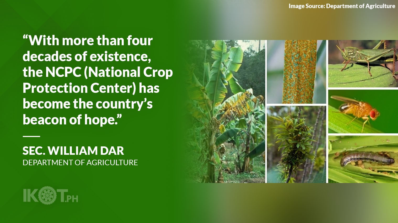DA BOOSTS AID FOR STUDY ON CROP PESTS, DISEASES — IKOT.PH