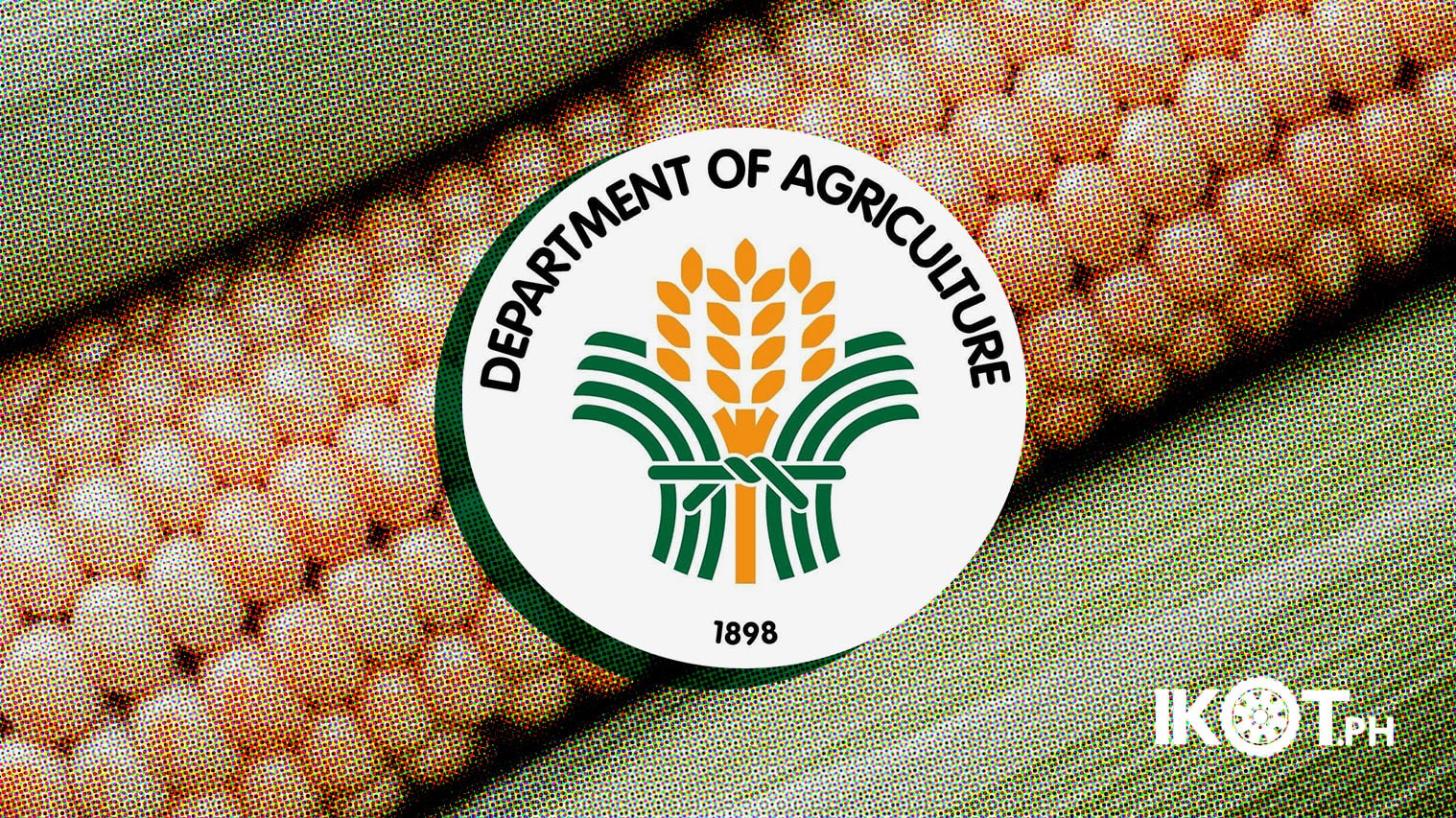 DA TO LAUNCH SUSTAINABLE CORN DEV’T PROGRAM — IKOT.PH