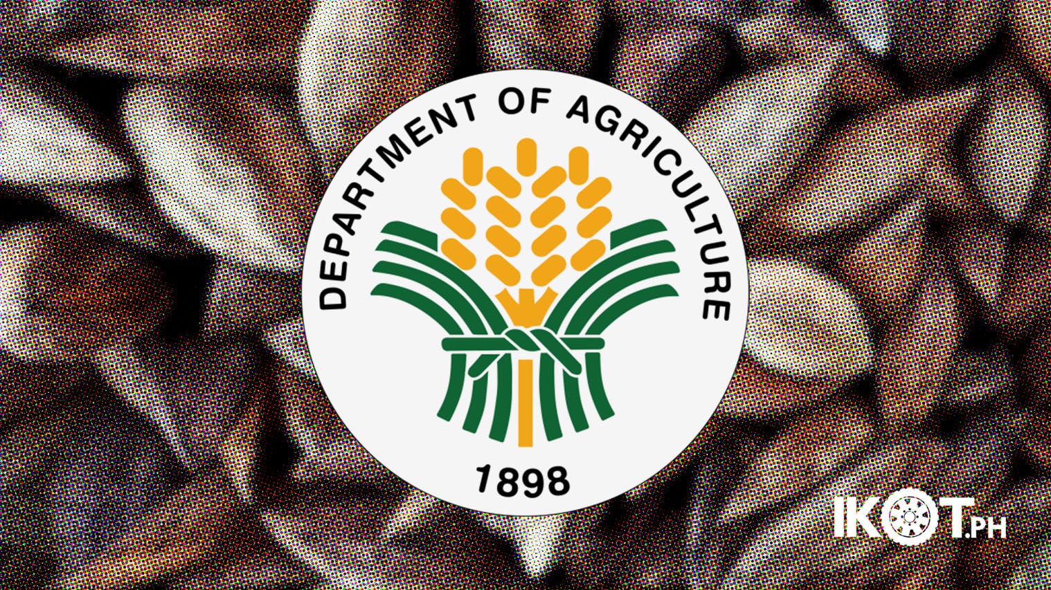 PH TO RESUME PILI NUTS EXPORT TO EU, SAYS DA — IKOT.PH