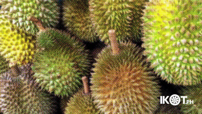 PH STARTS EXPORT OF DAVAO DURIAN TO CHINA SOON — IKOT.PH