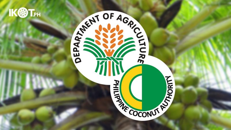 PCA LEADS DRIVE TO REVIVE PH COCONUT INDUSTRY — IKOT.PH