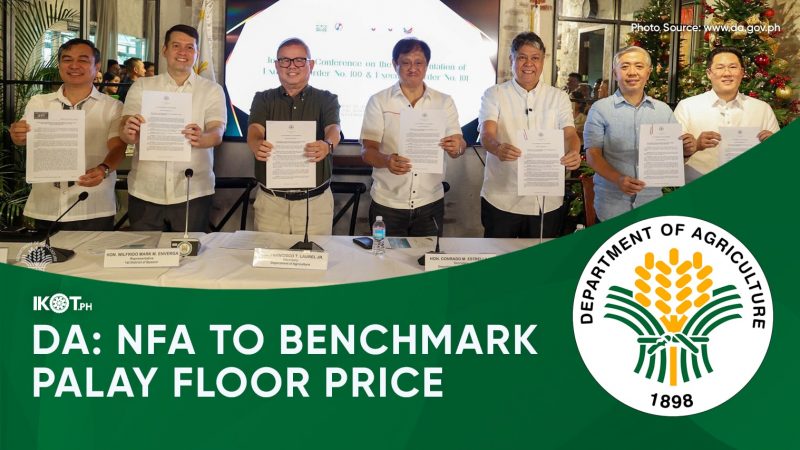 palay price Archives — IKOT.PH